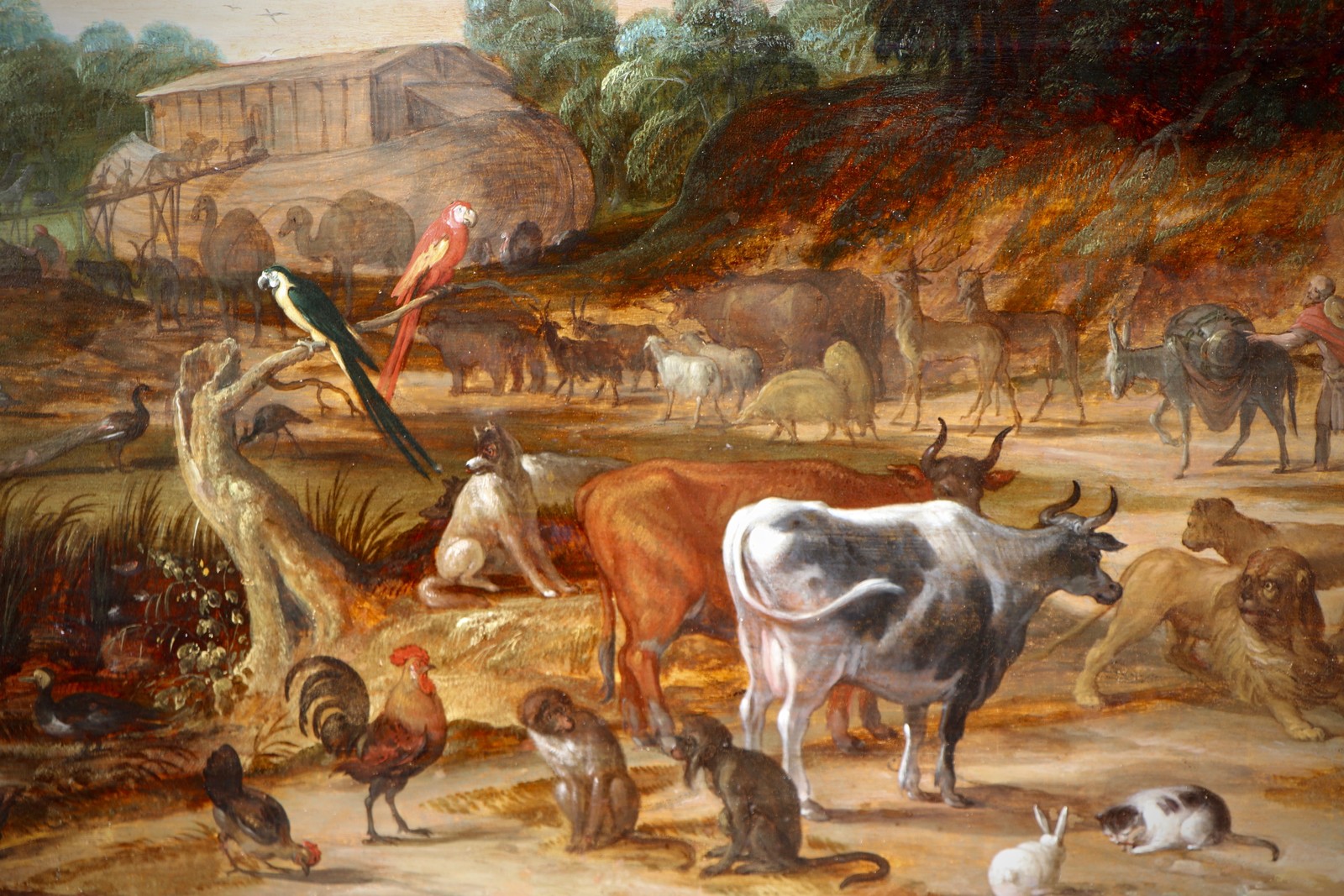 Animals entering Noah's Ark - Colijns, David, 2022 - Biblical ...